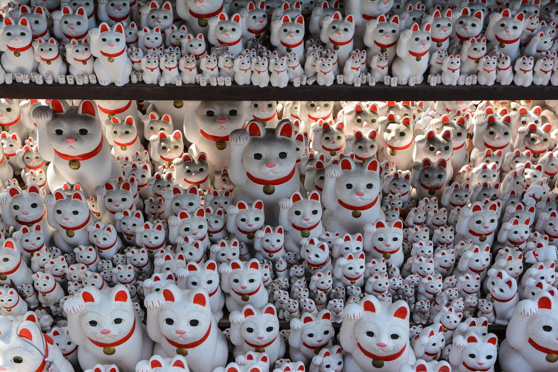 Gotoku-ji, le temple des chats en plein Tokyo - Le PolyèdreLe Polyèdre
