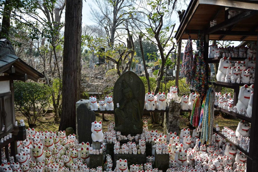 Gotoku-ji, le temple des chats en plein Tokyo - Le PolyèdreLe Polyèdre